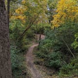 Palos Orange Trail, Illinois - 1,408 Reviews, Map | AllTrails