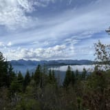 Mount Walker, Washington - 2,003 Reviews, Map | AllTrails