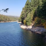 Jenkinson Lake Loop, California - 2,450 Reviews, Map | AllTrails