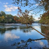 Jones Bridge Trail , Georgia - 2,495 Reviews, Map | AllTrails