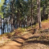 Jenkinson Lake Loop, California - 2,450 Reviews, Map | AllTrails