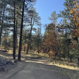 Mars Hill Trail, Arizona - 1,222 Reviews, Map | AllTrails