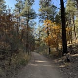 Mars Hill Trail, Arizona - 1,222 Reviews, Map | AllTrails