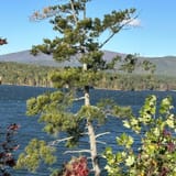 Fonta Flora Trail Loop, North Carolina - 1,490 Reviews, Map | AllTrails