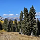 Beckwith Pass Trail, Colorado - 102 Reviews, Map | AllTrails