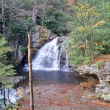 Hawk Falls Trail, Pennsylvania - 2,716 Reviews, Map | AllTrails