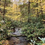 Quebec Run Outer Loop, Pennsylvania - 348 Reviews, Map | AllTrails