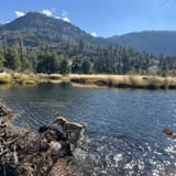 Grass Lake, California - 577 Reviews, Map | AllTrails