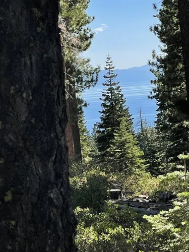 Best Snowshoeing Trails in Carnelian Bay | AllTrails