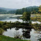 Addington Lookout, High Knoll, Lodge, Fern and Quarry Loop, British ...