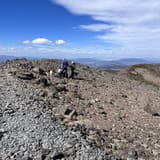 Mount Rose Peak Trail, Nevada - 2,795 Reviews, Map | AllTrails