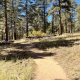 Cape Final Trail, Arizona - 579 Reviews, Map | AllTrails