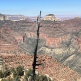 Cape Final Trail, Arizona - 579 Reviews, Map | AllTrails