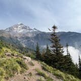 Top Spur and Timberline Loop, Oregon - 800 Reviews, Map | AllTrails