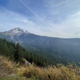 Bald Mountain from Lolo Pass Trail, Oregon - 1,749 Reviews, Map | AllTrails