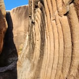 Kane Gulch to Todie Canyon, Utah - 122 Reviews, Map | AllTrails