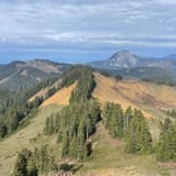 Excelsior Pass Trail, Washington - 570 Reviews, Map | AllTrails