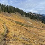 Excelsior Pass Trail, Washington - 570 Reviews, Map | AllTrails