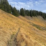 Excelsior Pass Trail, Washington - 587 Reviews, Map | AllTrails