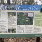 Nerang Ridge Loop , Queensland, Australia - 195 Reviews, Map | AllTrails