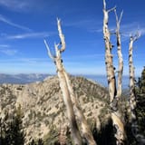 Freel Peak from Armstrong Pass, California - 529 Reviews, Map | AllTrails
