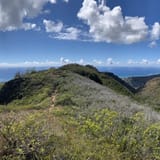 Hawaiʻi Loa Ridge Trail [PRIVATE PROPERTY], Oahu, Hawaii - 1,198 ...