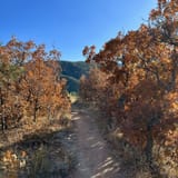 Forrest Allen Overlook, Colorado - 413 Reviews, Map | AllTrails