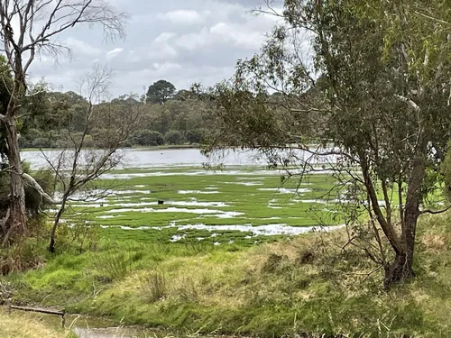 Best Hikes and Trails in Beeliar Regional Park | AllTrails