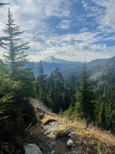 Best River Trails in Maple Falls | AllTrails