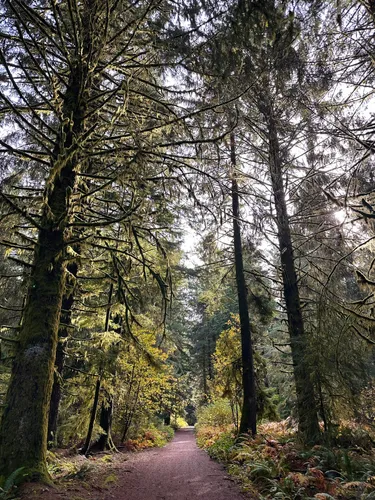 Best Historic Site Trails in Campbell River | AllTrails