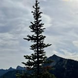 Naches Peak Loop Trail, Washington - 4,590 Reviews, Map | AllTrails