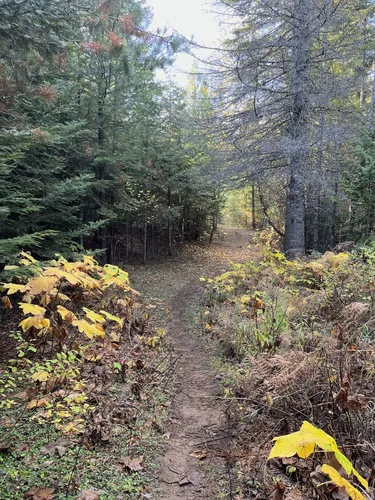 Best Hikes and Trails in Hauser Conservation Area | AllTrails