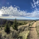 Triple Tree Trail, Montana - 1,121 Reviews, Map | AllTrails
