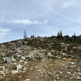 Maple Pass Trail, Washington - 7,610 Reviews, Map | AllTrails