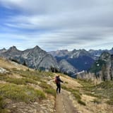 Maple Pass Trail, Washington - 7,611 Reviews, Map | AllTrails