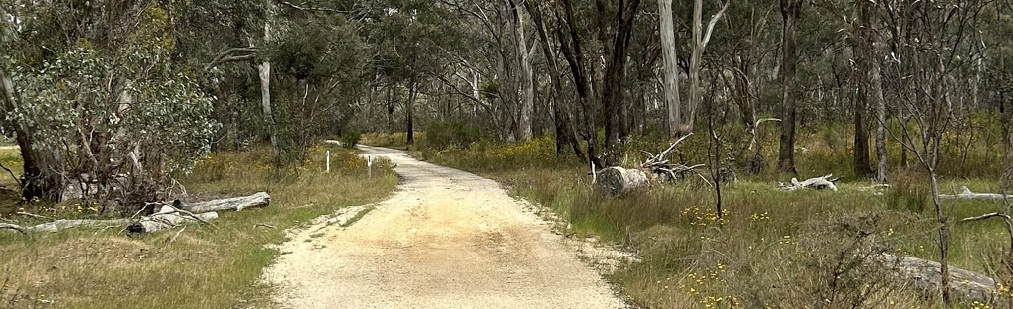 Mount Moliagul via Welcome Stranger Monument: 8 Reviews, Map - Victoria ...