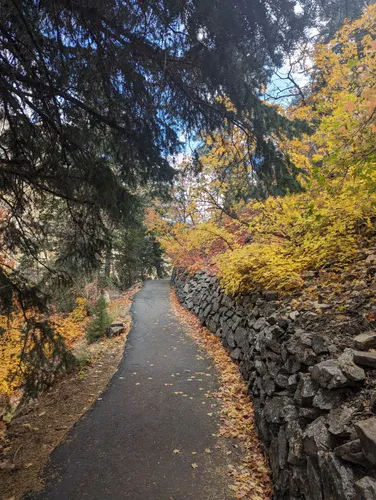 Best Hikes and Trails in Timpanogos Cave National Monument | AllTrails