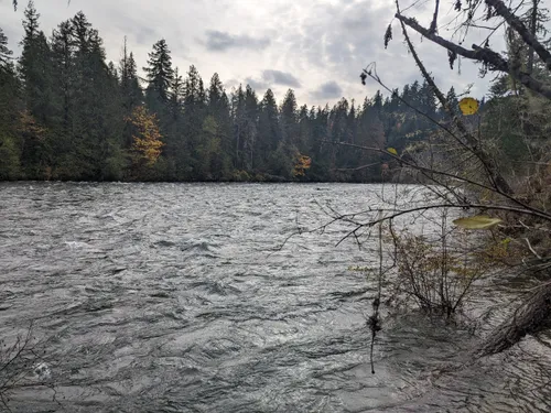 Best Hikes and Trails in Stamp River Provincial Park | AllTrails