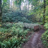 Mima Falls East Trail, Washington - 1,701 Reviews, Map | AllTrails