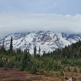 Myrtle Falls Viewpoint via Skyline Trail, Washington - 3,640 Reviews ...
