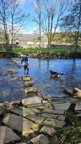 Best Kid Friendly Trails in Holmrook | AllTrails