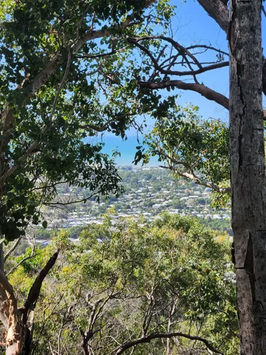 Best No Dogs Trails in Trinity Beach | AllTrails