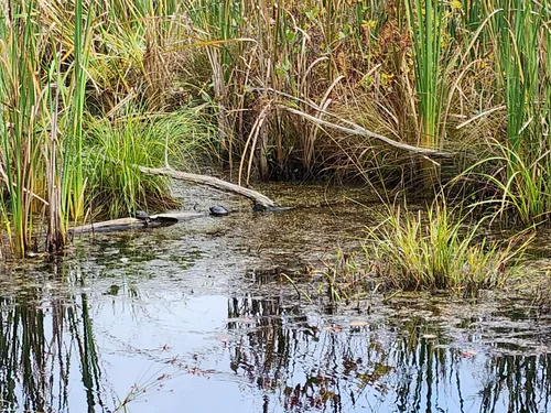 Best Hikes and Trails in Hathorne | AllTrails