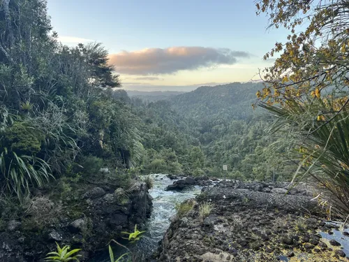 10 Best Waterfall Trails in Waitakere Ranges Regional Park | AllTrails
