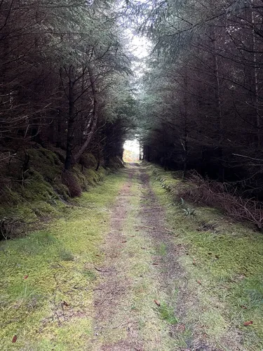 Best Lake Trails in Keith | AllTrails