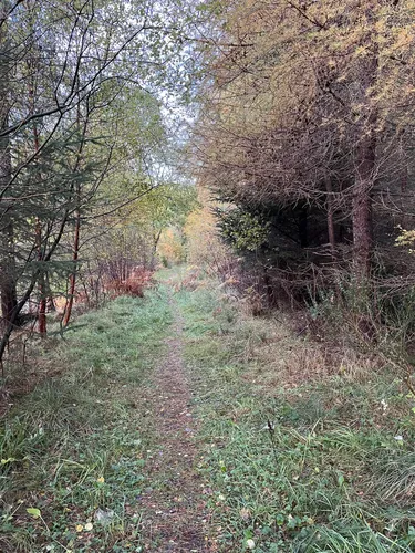 Best Lake Trails in Keith | AllTrails