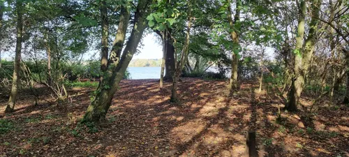 Best Hikes and Trails in Titchmarsh Nature Reserve | AllTrails