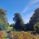 Heart of Savernake Forest Circular, Wiltshire, England - 133 Reviews ...