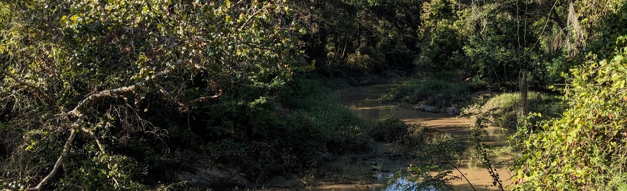 Cardinal Trail, Texas - 19 Reviews, Map | AllTrails