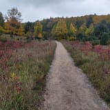 Pyramid Point Loop, Michigan - 971 Reviews, Map | AllTrails